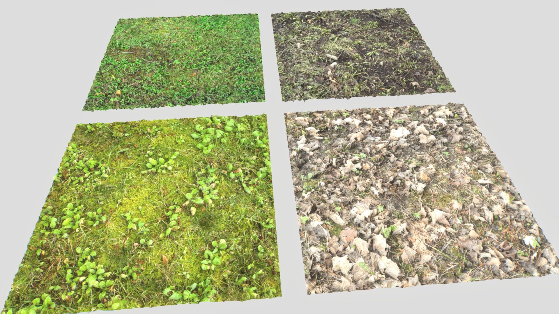 Forest Terrain PBR Pack 1 Texture - Buy Royalty Free 3D model by 32cm ...