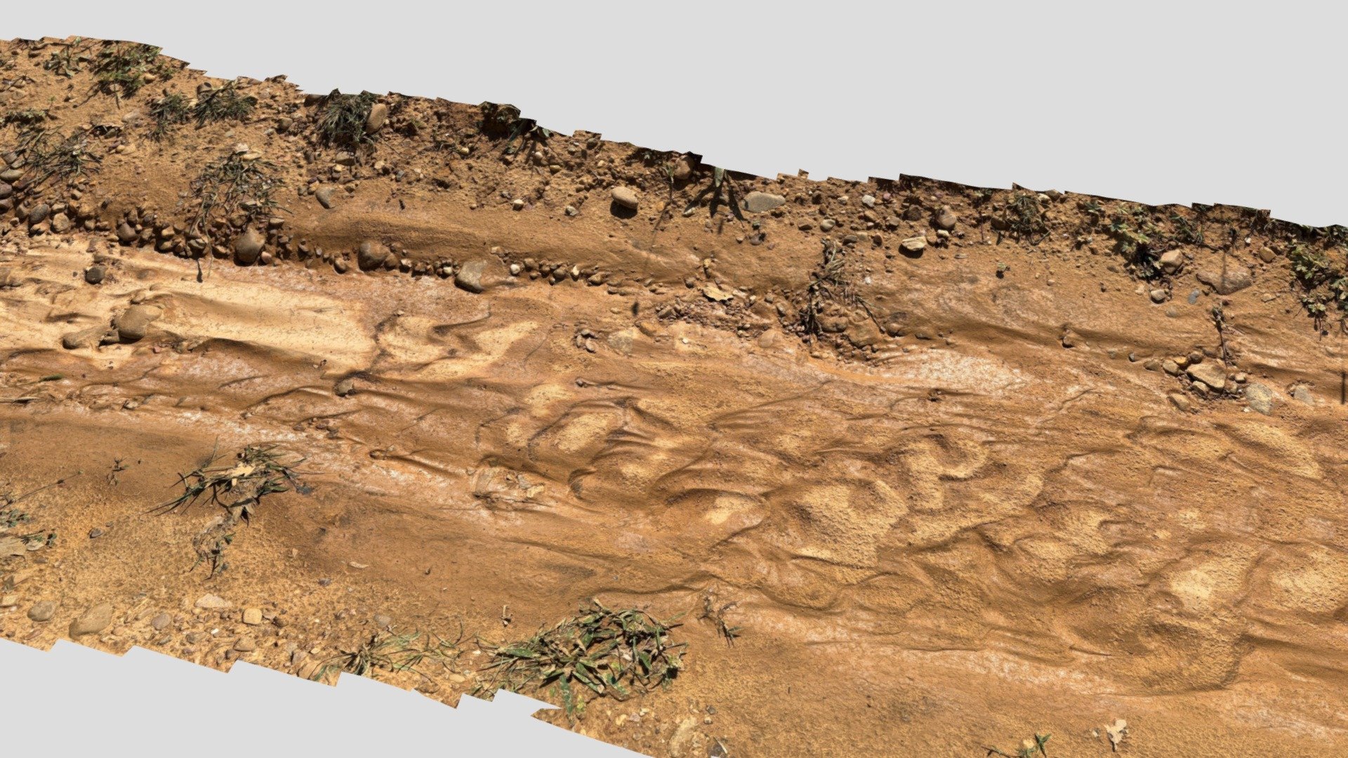 Ripples linguoides - Download Free 3D model by javi_geo [8989e0d ...
