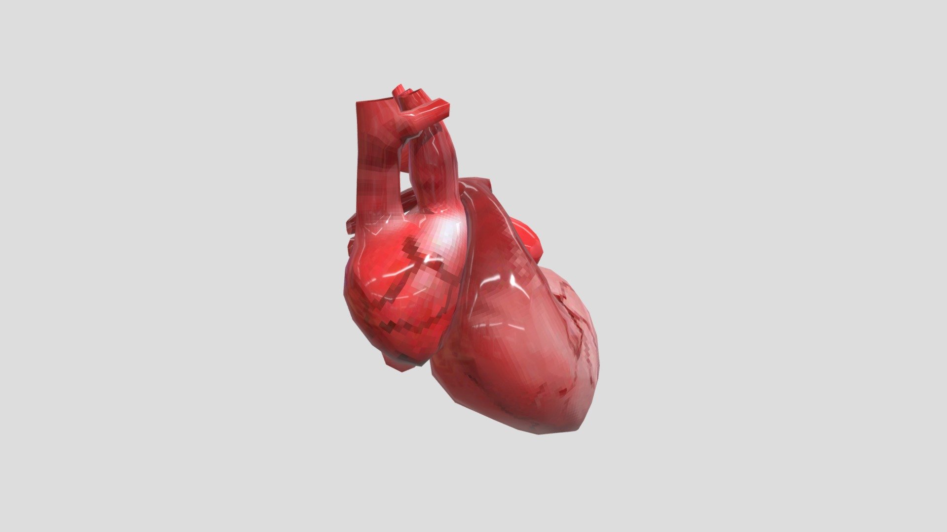 lowpoly_human_heart - Download Free 3D model by RanaAshraf [898b881 ...