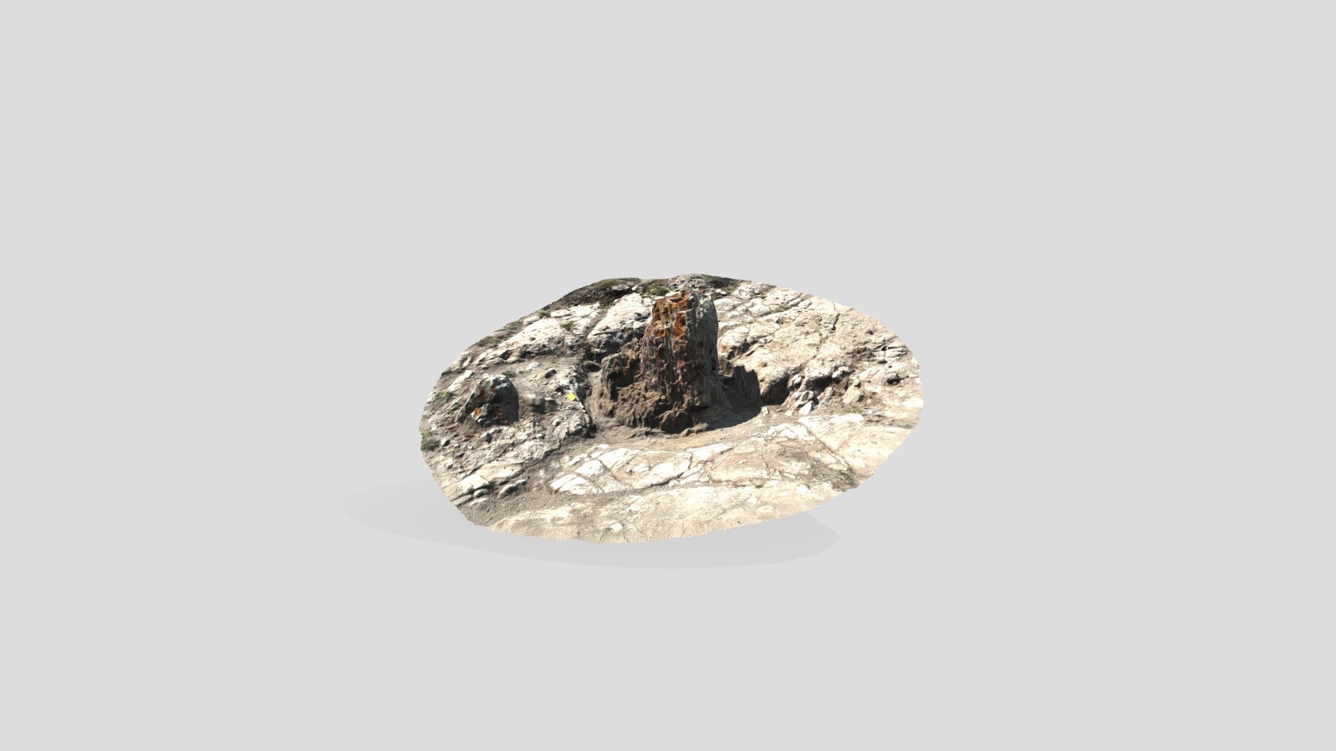 Fossil_117 - 3D model by lemoniamoi [898cb40] - Sketchfab