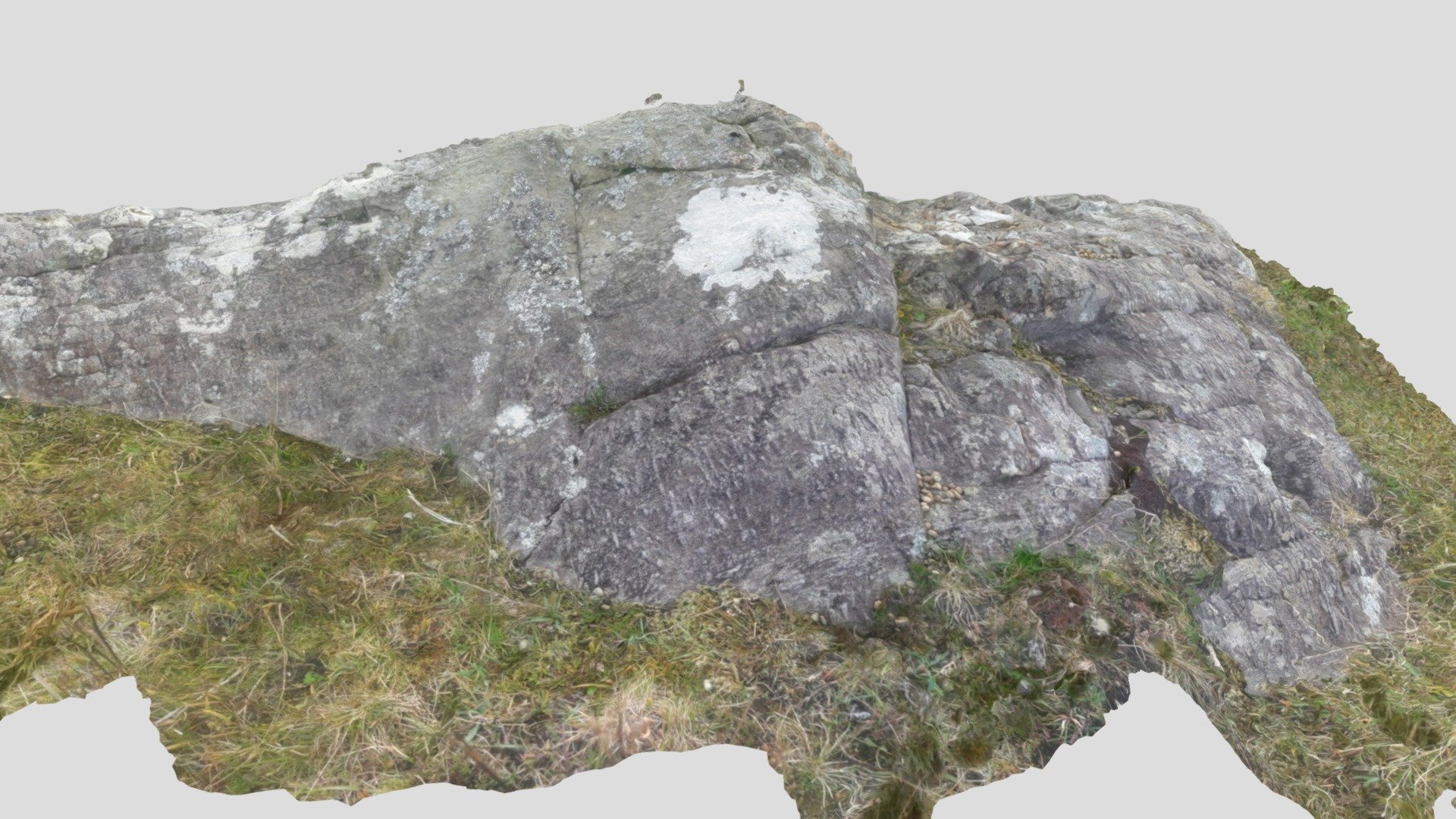 Skolithos - Download Free 3D model by DrSadhbh [8991c91] - Sketchfab