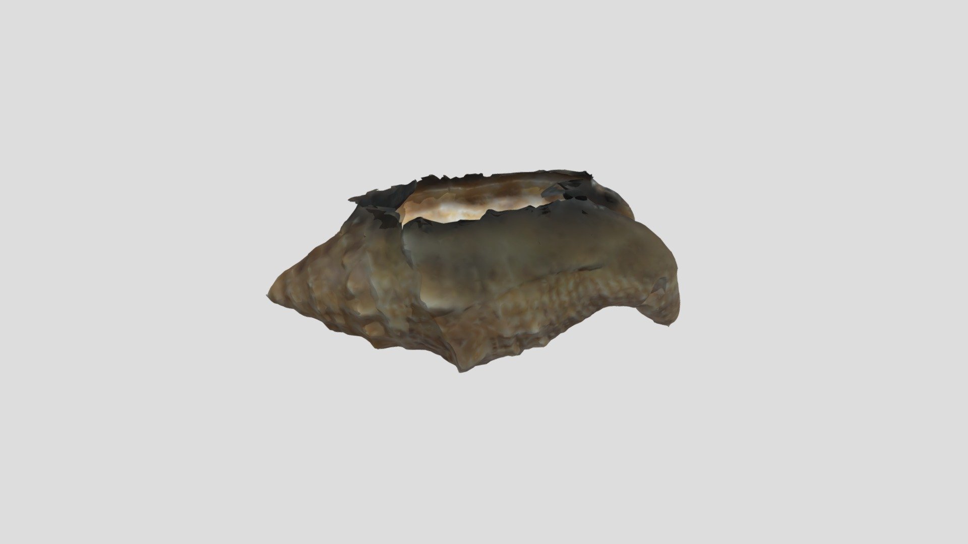 Caracol 1 - 3D model by angelesm [8994538] - Sketchfab