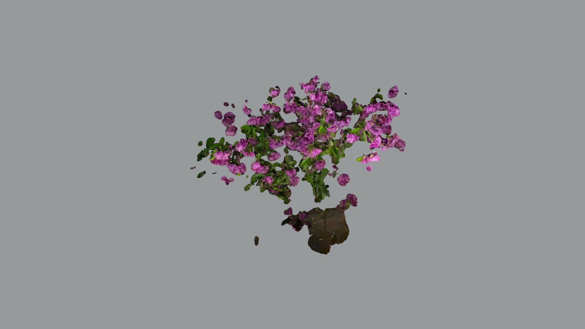 Flower - Download Free 3D model by iwamah1 [899c294] - Sketchfab