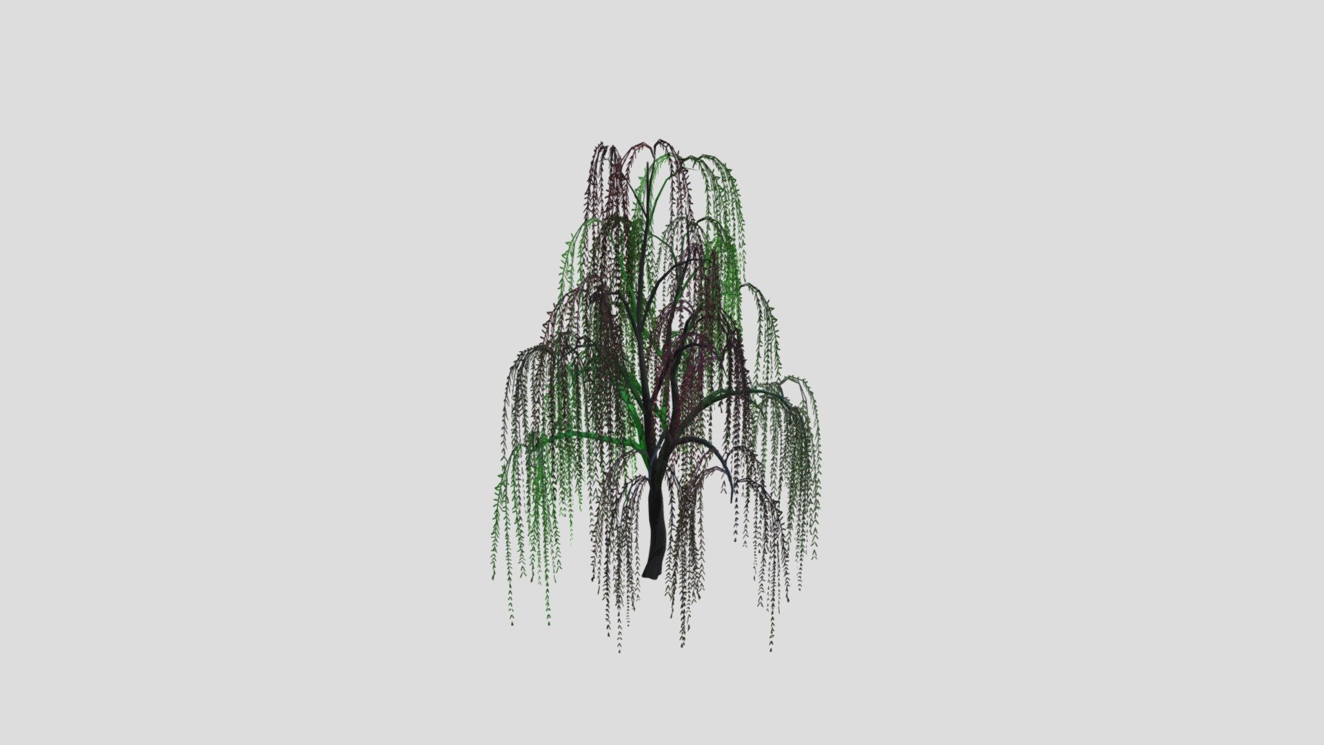 Willow - 3D model by walk3r [89a62c6] - Sketchfab