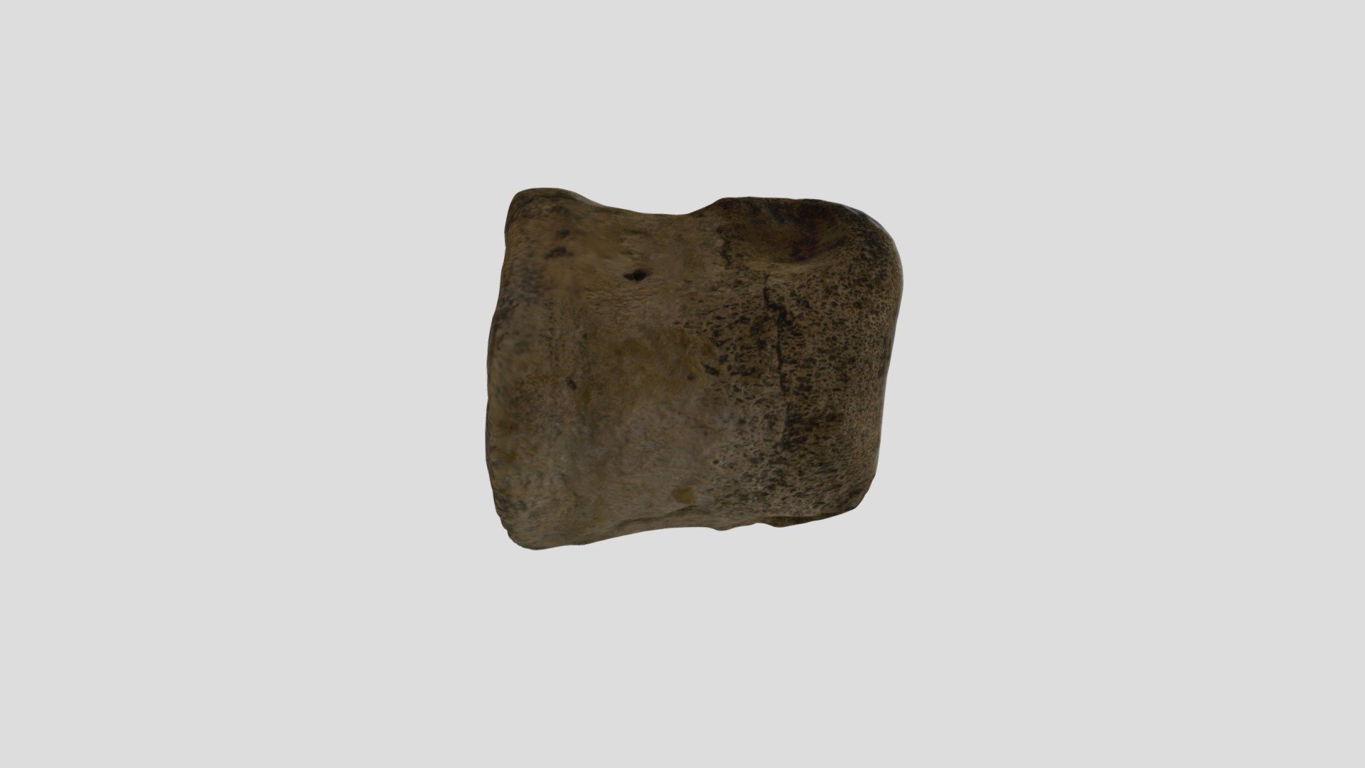 Hadrosaur toe digit fossil (L38D) - 3D model by Hong Kong Science ...