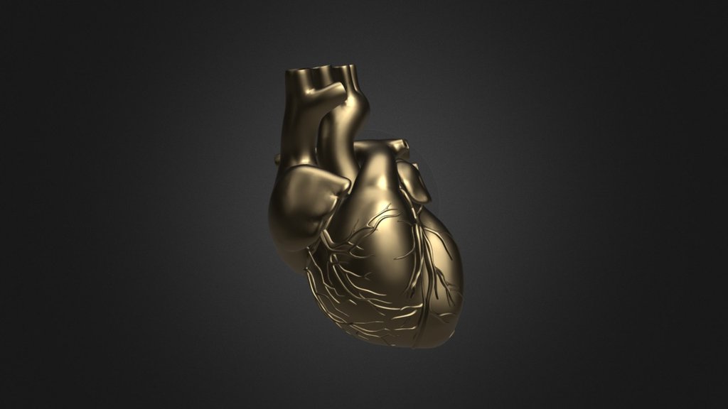 Corazon - 3D model by marco lopez (@marcolopez) [89aaedb] - Sketchfab