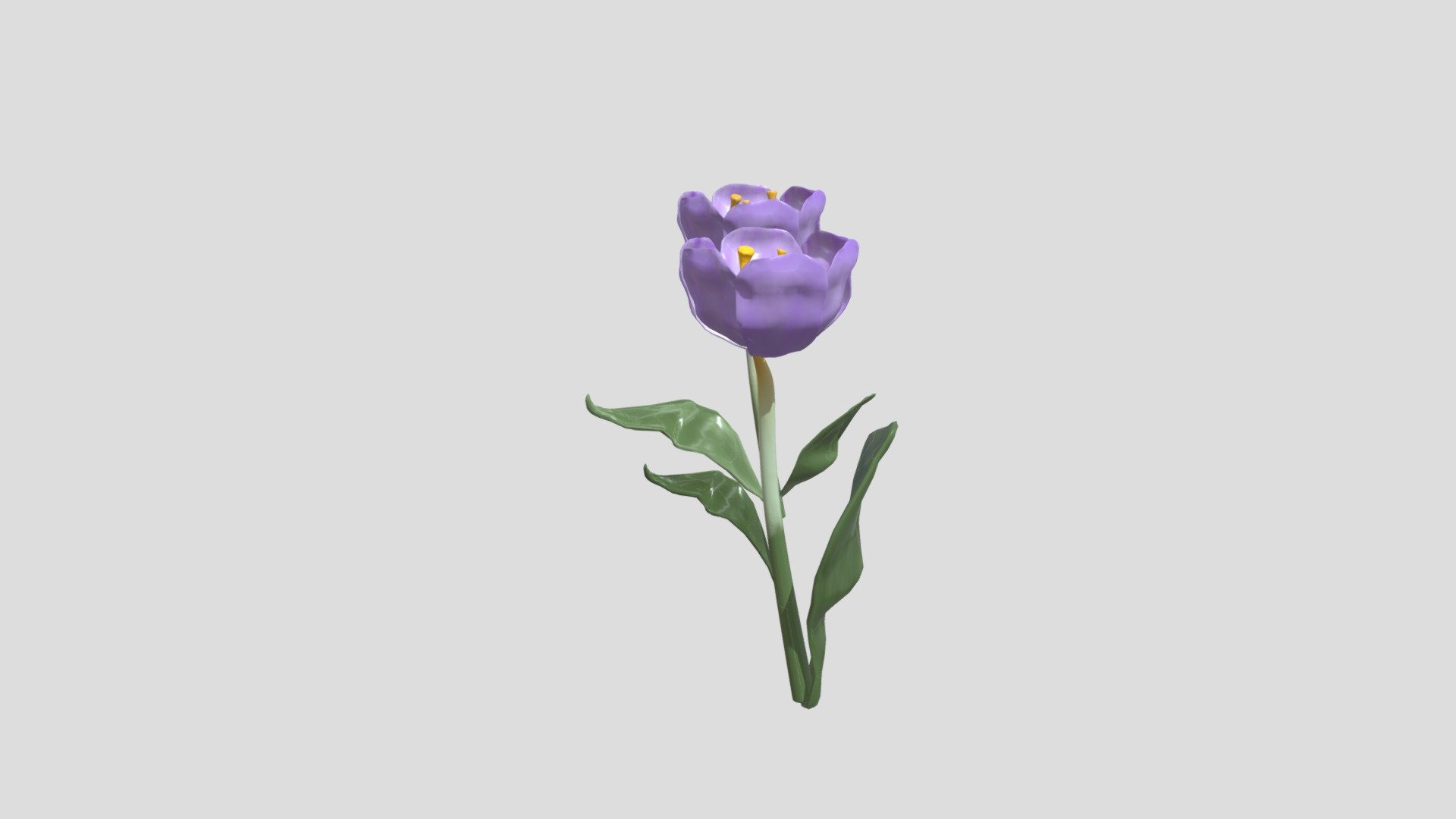 Snow Flowers - 3D model by springfilledhope [89b2519] - Sketchfab
