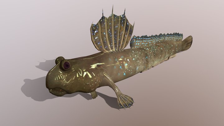 Jump-fish 3D models - Sketchfab