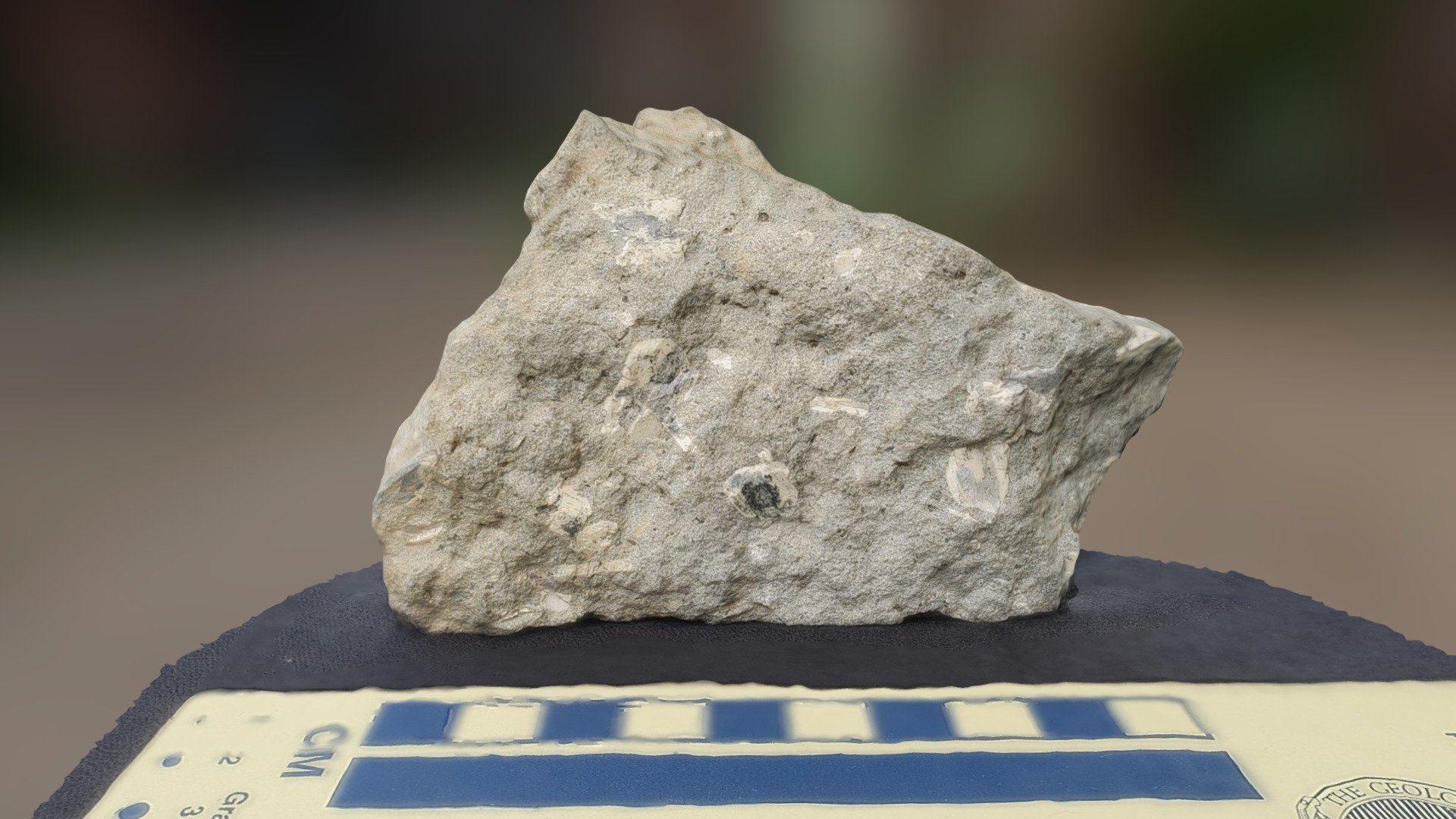 Porphyritic Andesite - Download Free 3D model by Marissa Dudek ...
