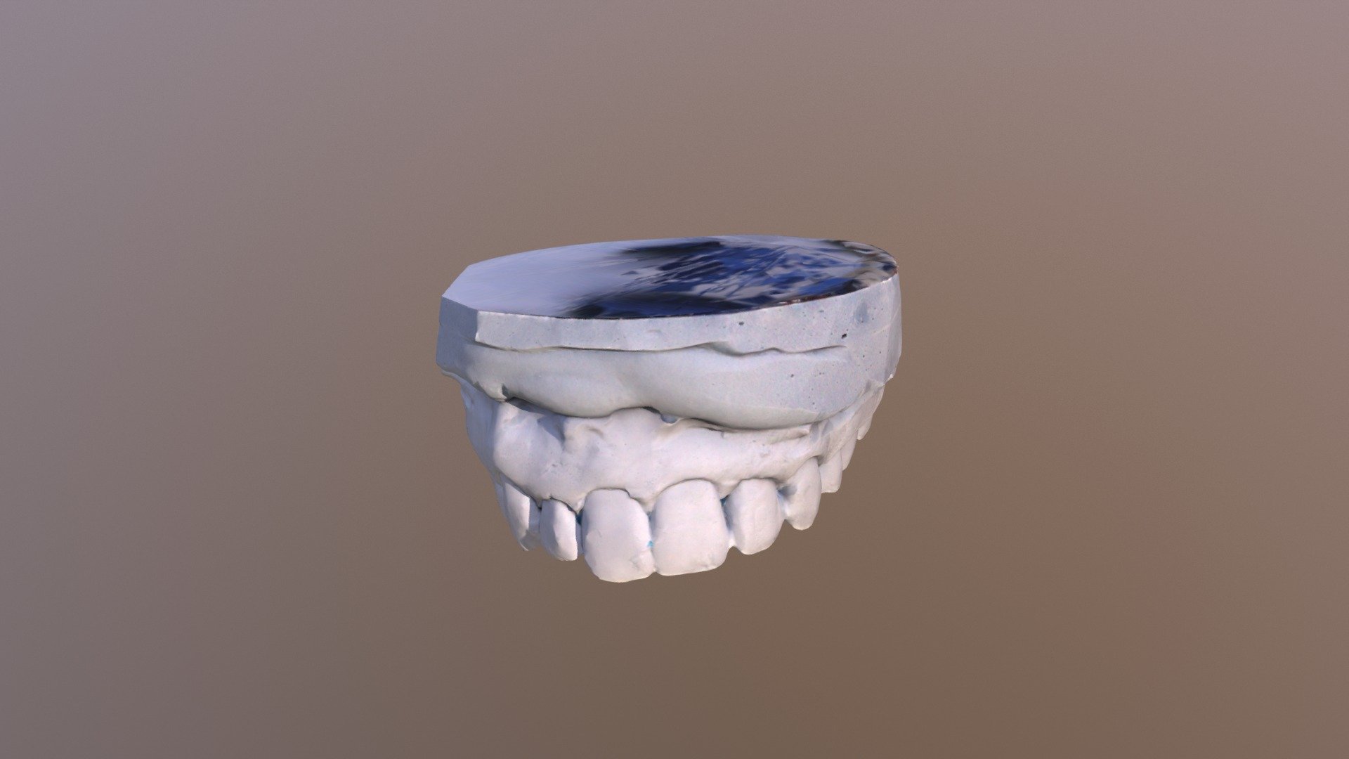 Maxilla_New - 3D model by MykYar [89cd401] - Sketchfab