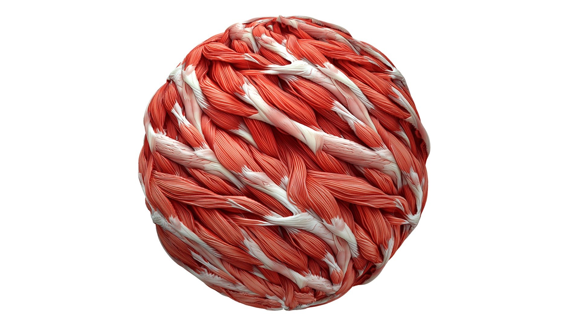 Anatomy Seamless Texture - Buy Royalty Free 3D model by zames1992 [89cee97] - Sketchfab Store