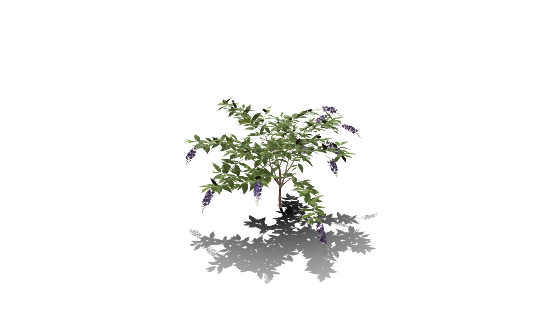 Realistic HD Golden dewberry (6/20) - Download Free 3D model by ...
