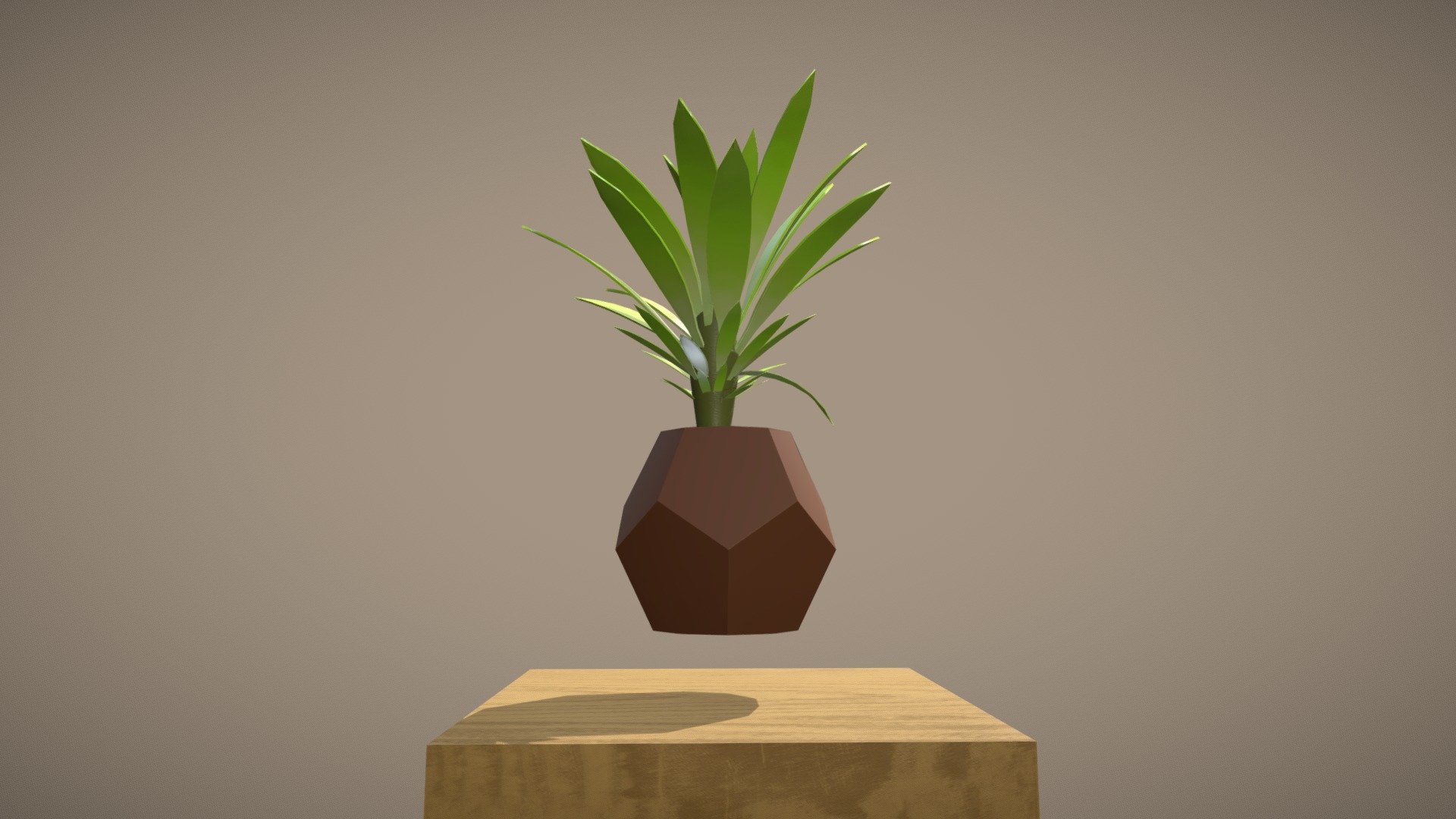 Floating Plant - 3D model by polimagine [89dc5b6] - Sketchfab