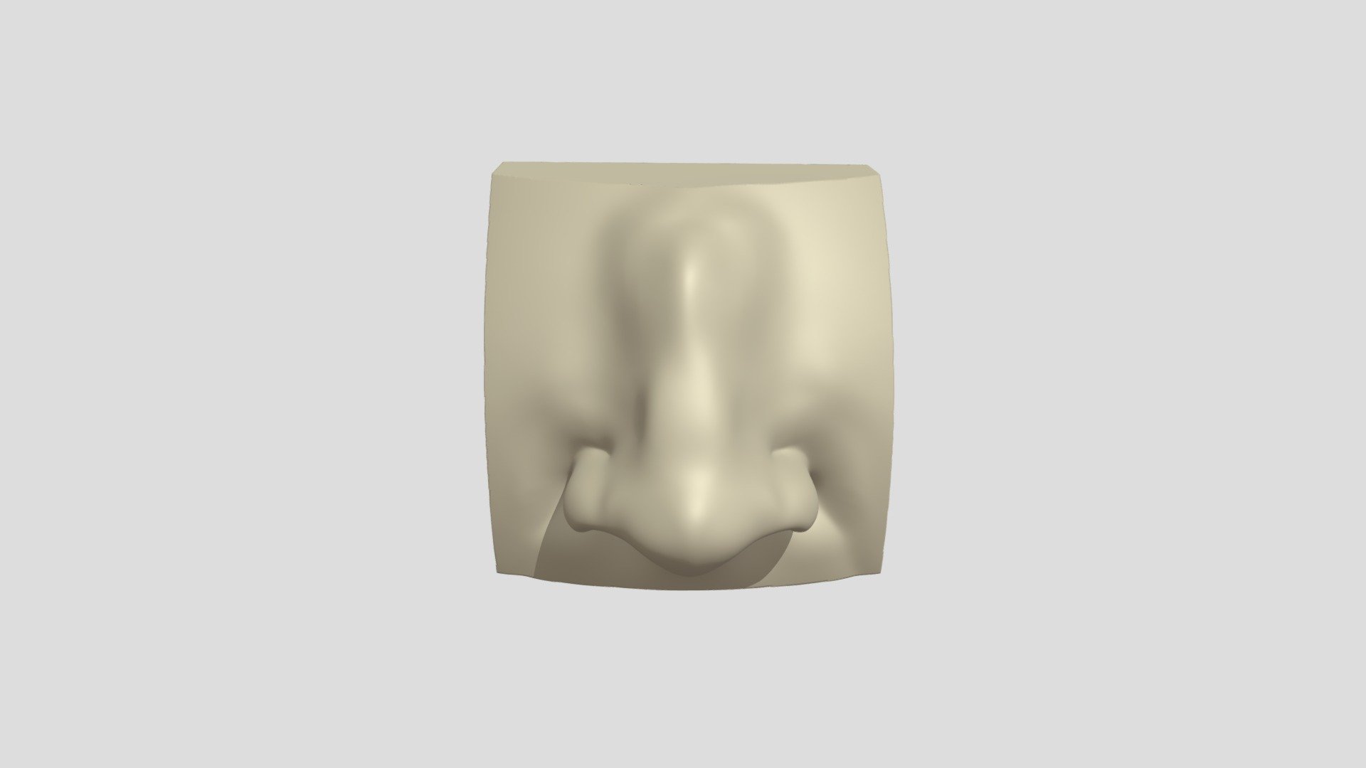 Nose sculpture - 3D model by rakelalme [89e6f5c] - Sketchfab