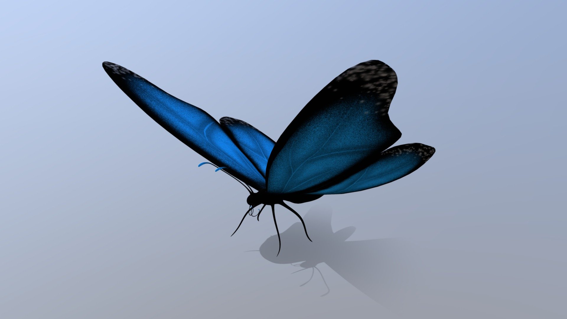 Butterfly - 3D model by camilavalencia [89f94b3] - Sketchfab