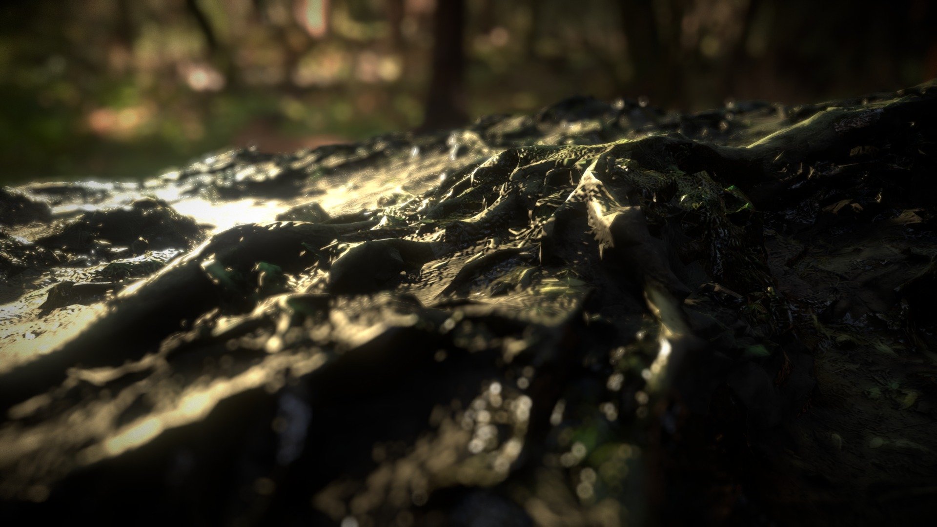 Tree Roots Photogrammetry - 3D model by Chris @ Zubr (@zubrvr) [8a033f2 ...