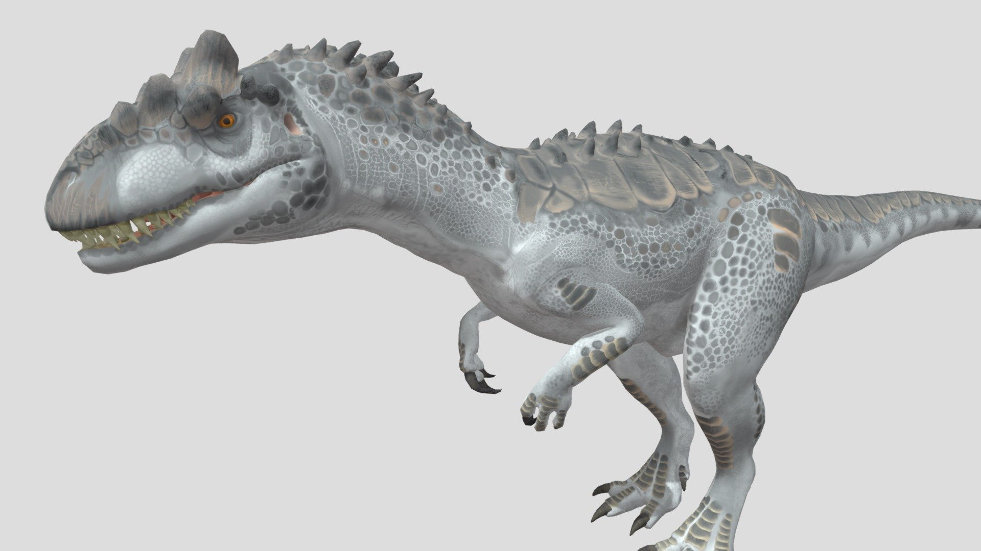 Allosaurus skin 2 - Download Free 3D model by seth the yutyrannus (@slang107123456789) [8a05069 ...