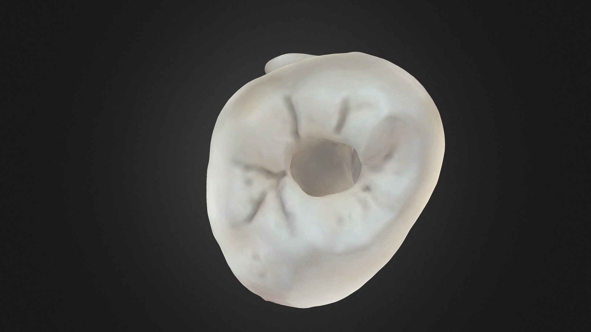 Dente 28 - Upper LeftThird Molar (ID 18a) - Download Free 3D model by ...