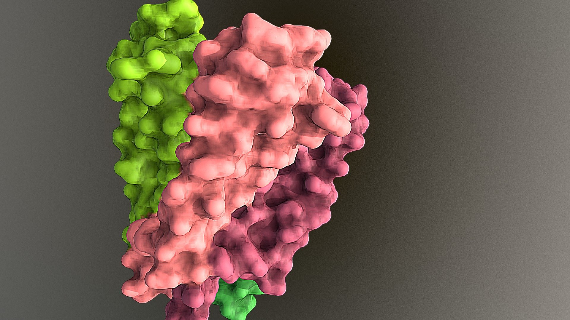 POTASSIUM CHANNEL FROM STREPTOMYCES LIVIDANS - 3D model by Dominic ...