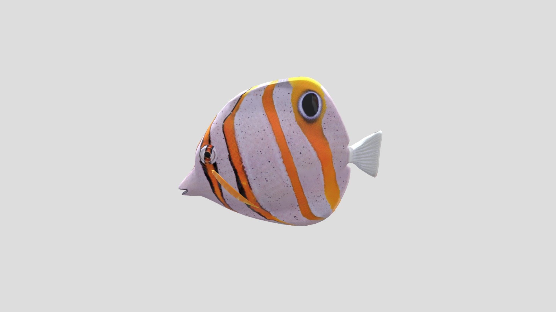 fish - 3D model by Sofia Craft (@secraft) [8a17da6] - Sketchfab