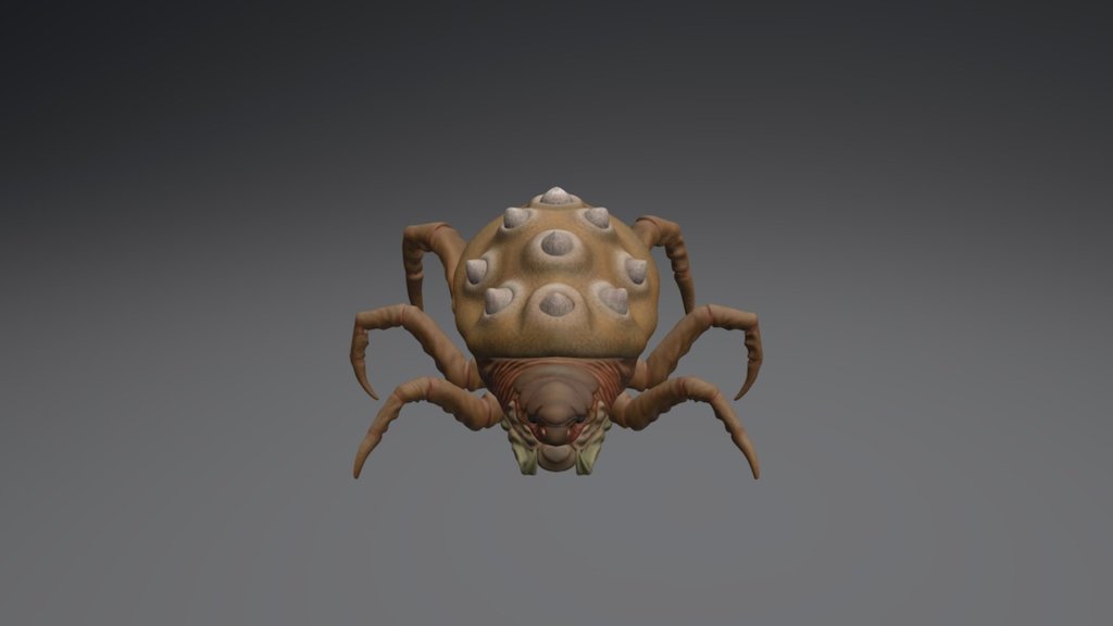 Insect Demo - 3D model by jamesdksmith [8a195da] - Sketchfab
