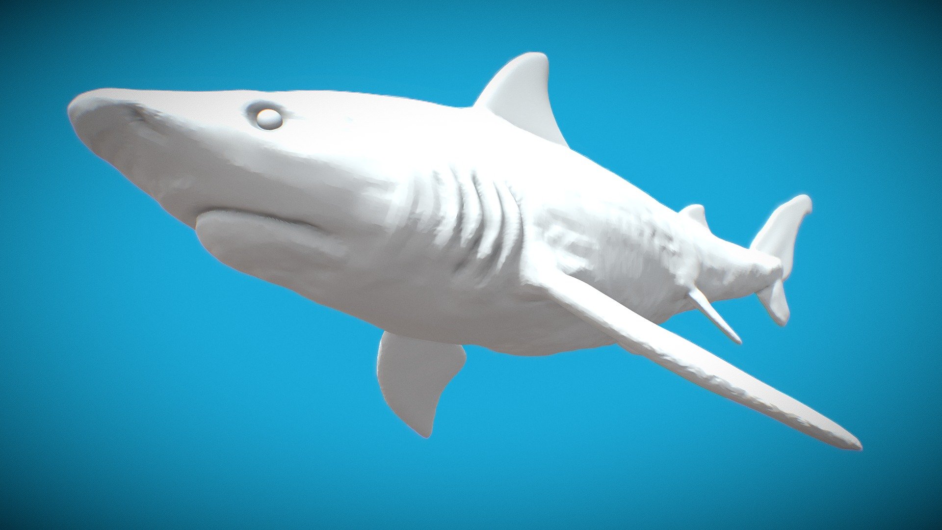 Shark for Print - Buy Royalty Free 3D model by Tom Johnson (@Brigyon ...