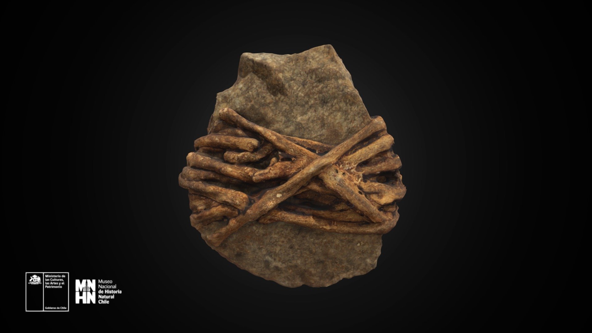 Lasca con fibra vegetal - Download Free 3D model by Museo Nacional de Historia Natural de Chile ...