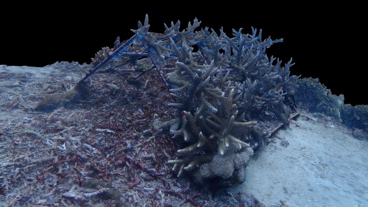 Rebar 3d Models Sketchfab