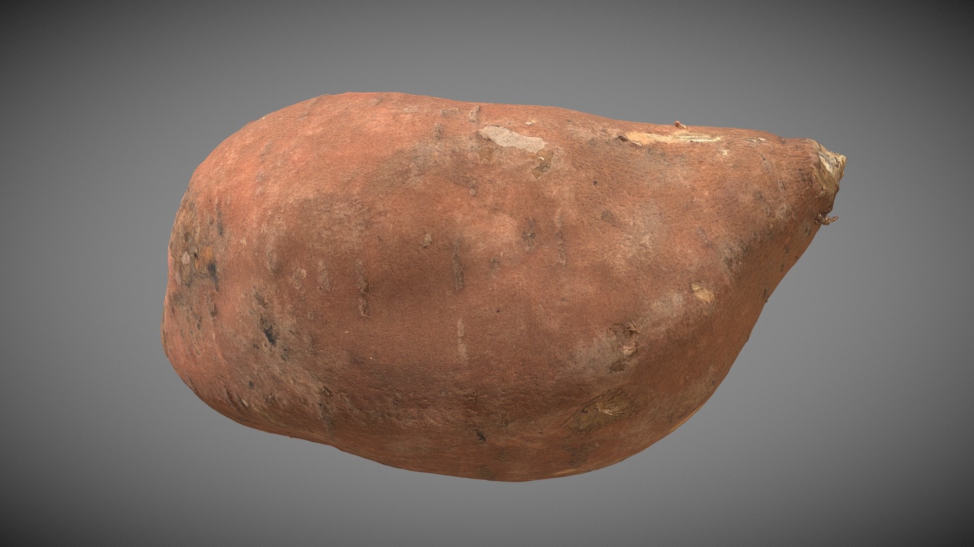 Sweet Potato - Buy Royalty Free 3D model by Eydeet [8a2a91c ...