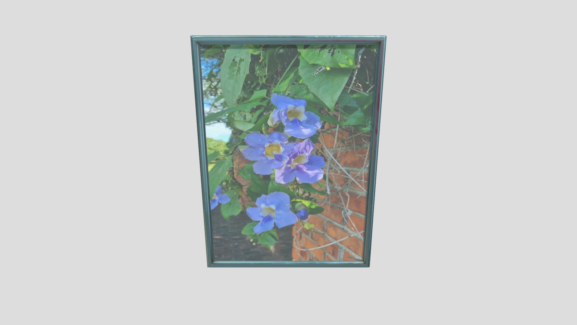 Flower in picture frame - Download Free 3D model by Rylanneo [8a37747 ...