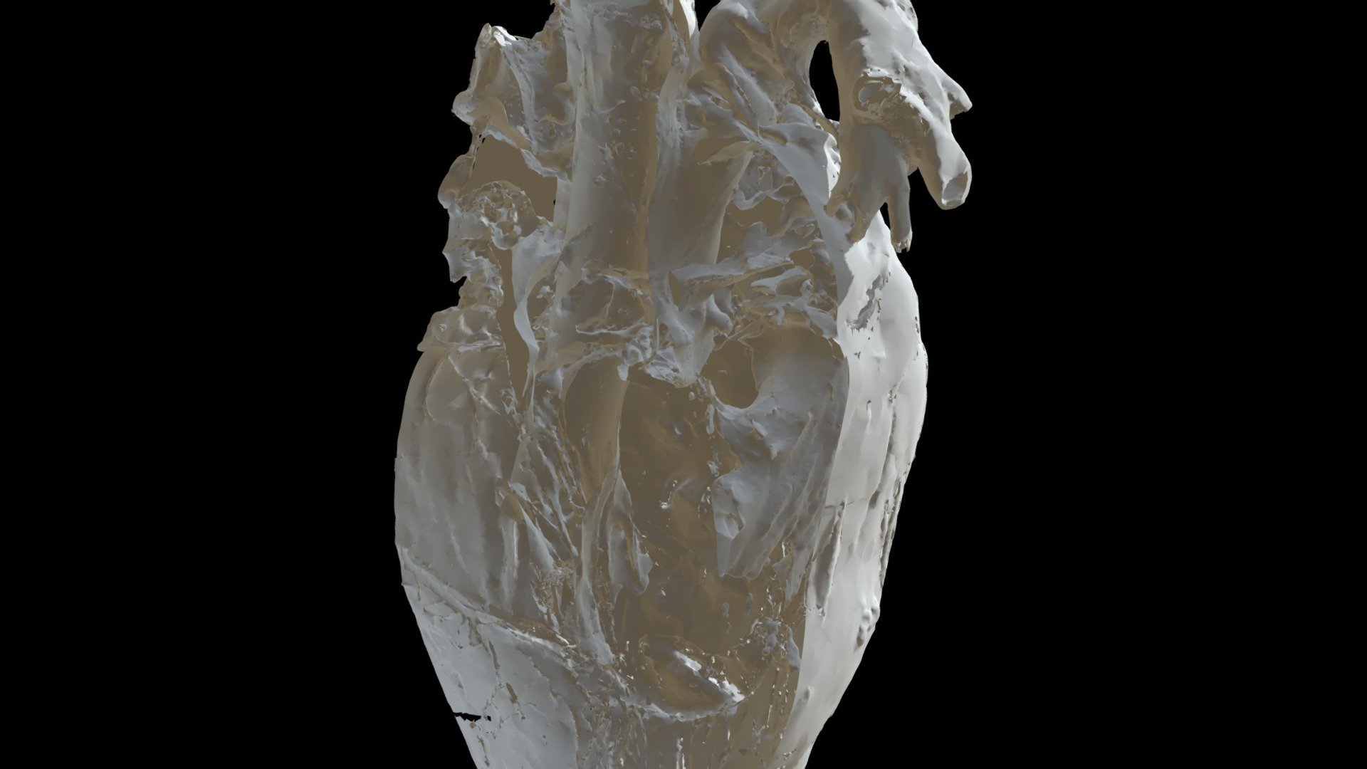 Anatomía Corazón Bovino - 3D model by Leandro.Palmieri [8a48468 ...