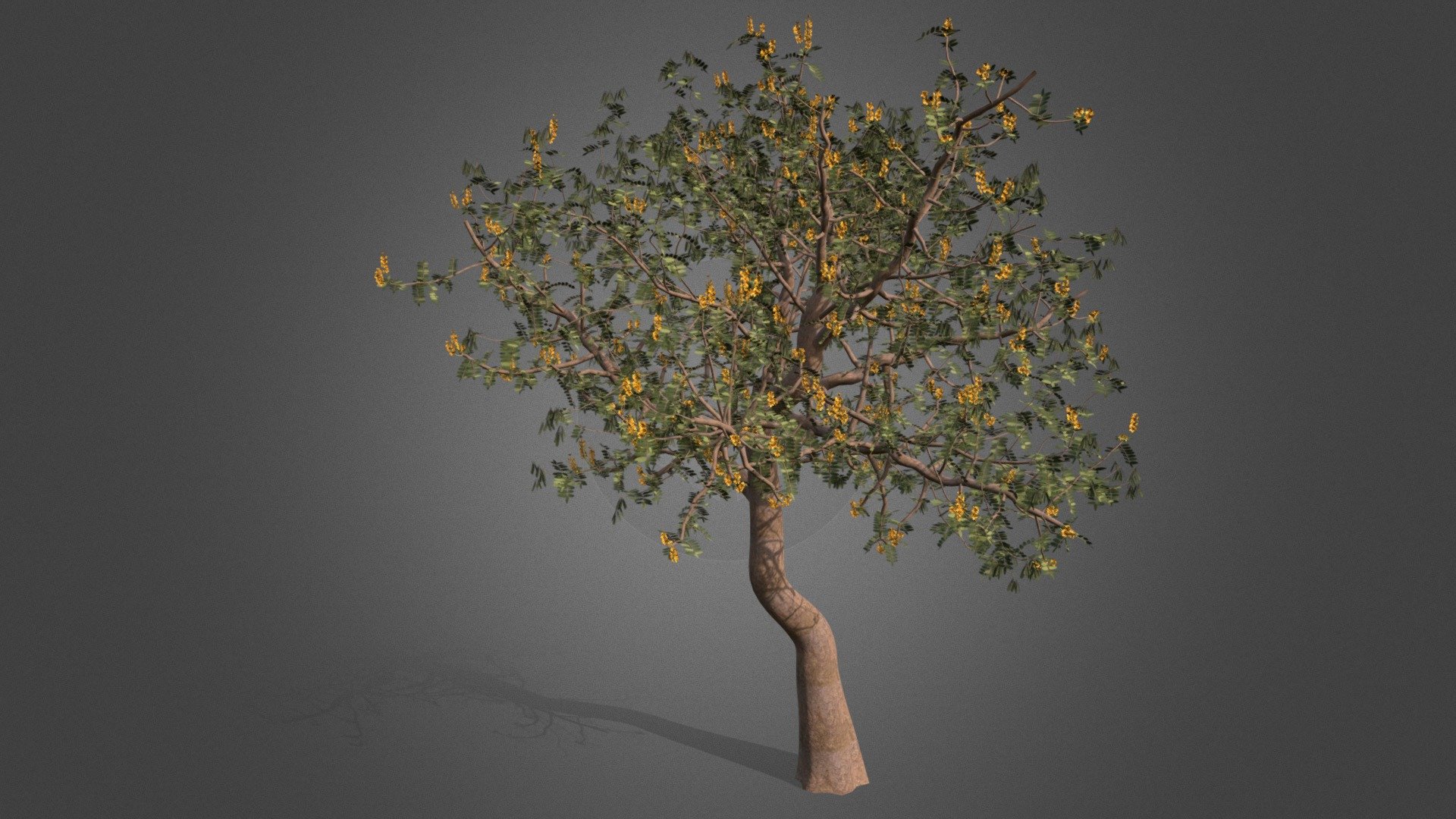 Mutuy - Download Free 3D model by hanandess [8a4a0fb] - Sketchfab