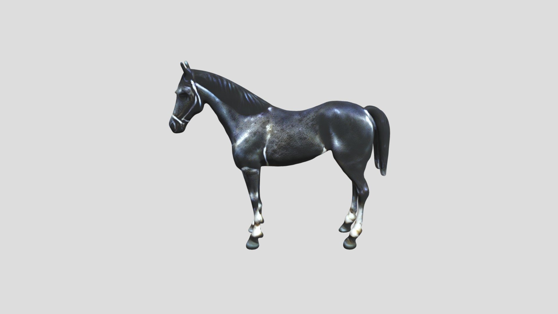Black Stallion - Buy Royalty Free 3D model by HistoryView.org ...