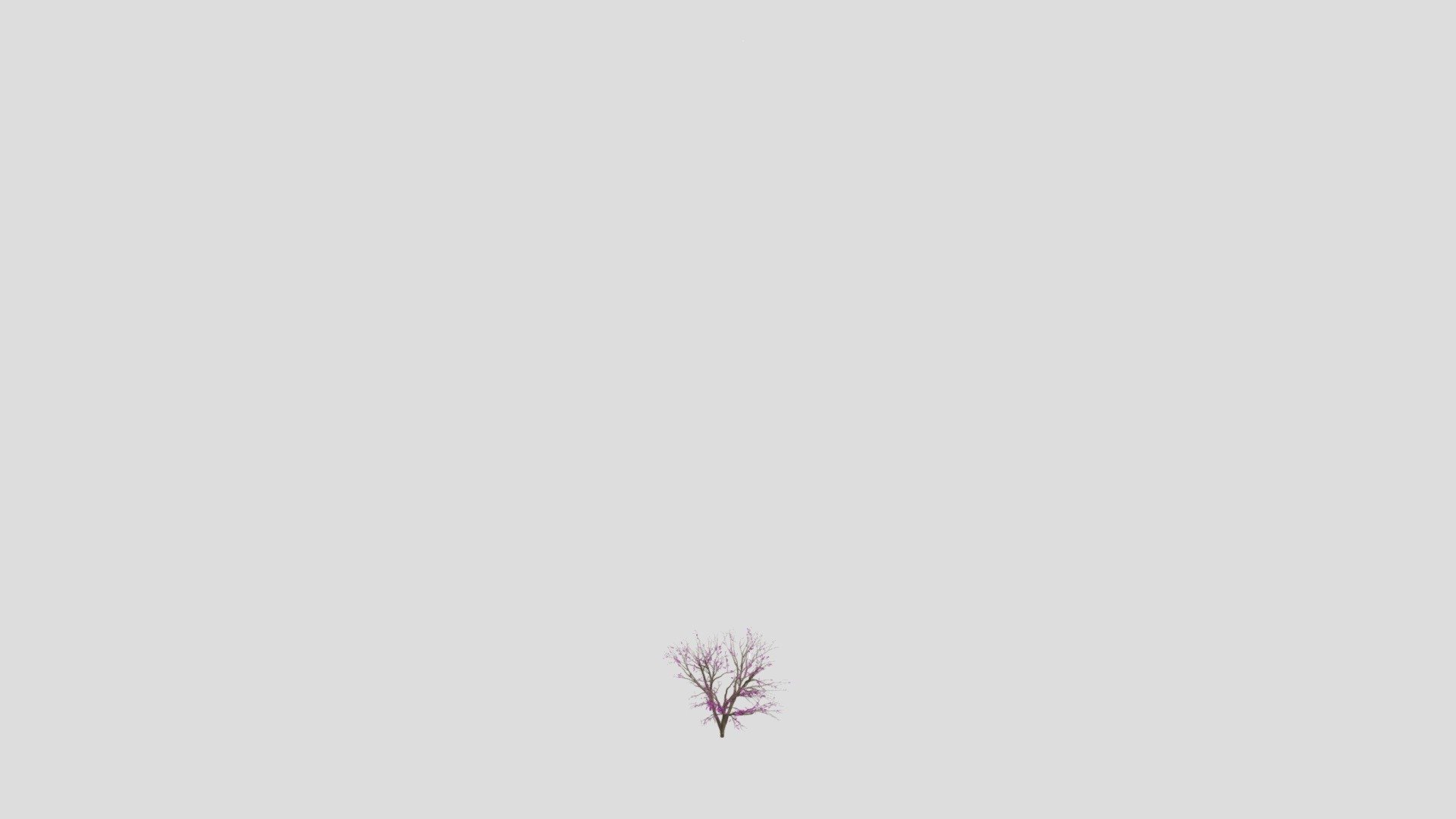 Japanese Tree - 3D model by jonathan4D [8a4f72d] - Sketchfab