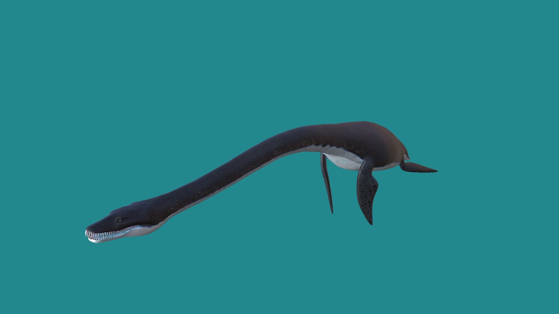 Plesiosaurus - Download Free 3D model by kenchoo [8a4fce0] - Sketchfab