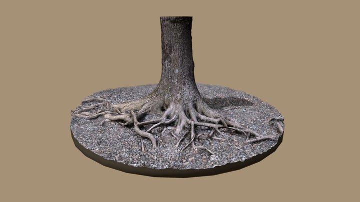 Pebbles 3D models - Sketchfab