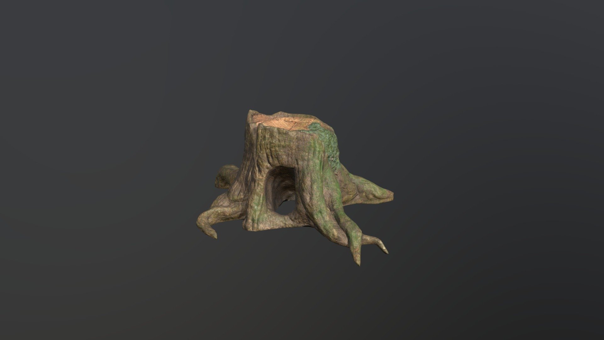 Stump - 3D model by samantha8 [8a63017] - Sketchfab