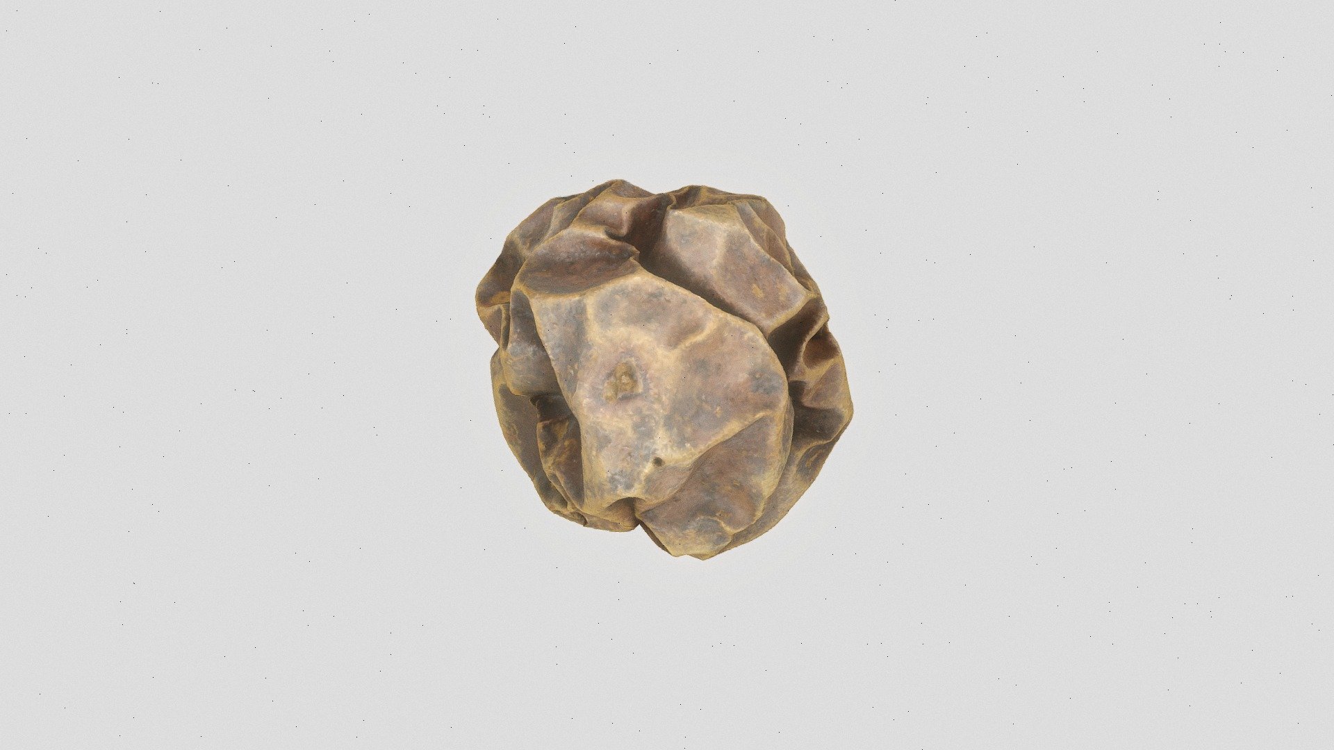 น้ำเต้า - Download Free 3D model by SCPHC (@rujirada) [8a63757] - Sketchfab