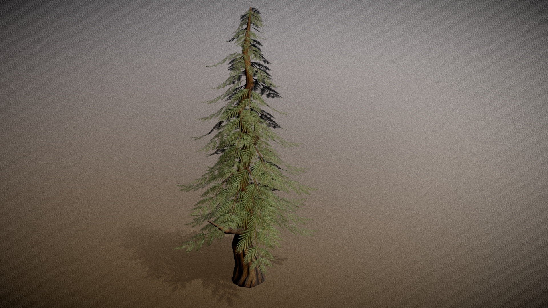 Stylized Pine - Download Free 3D model by BiscuitEater (@div.andromeda ...