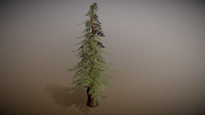 Pine 3D models - Sketchfab