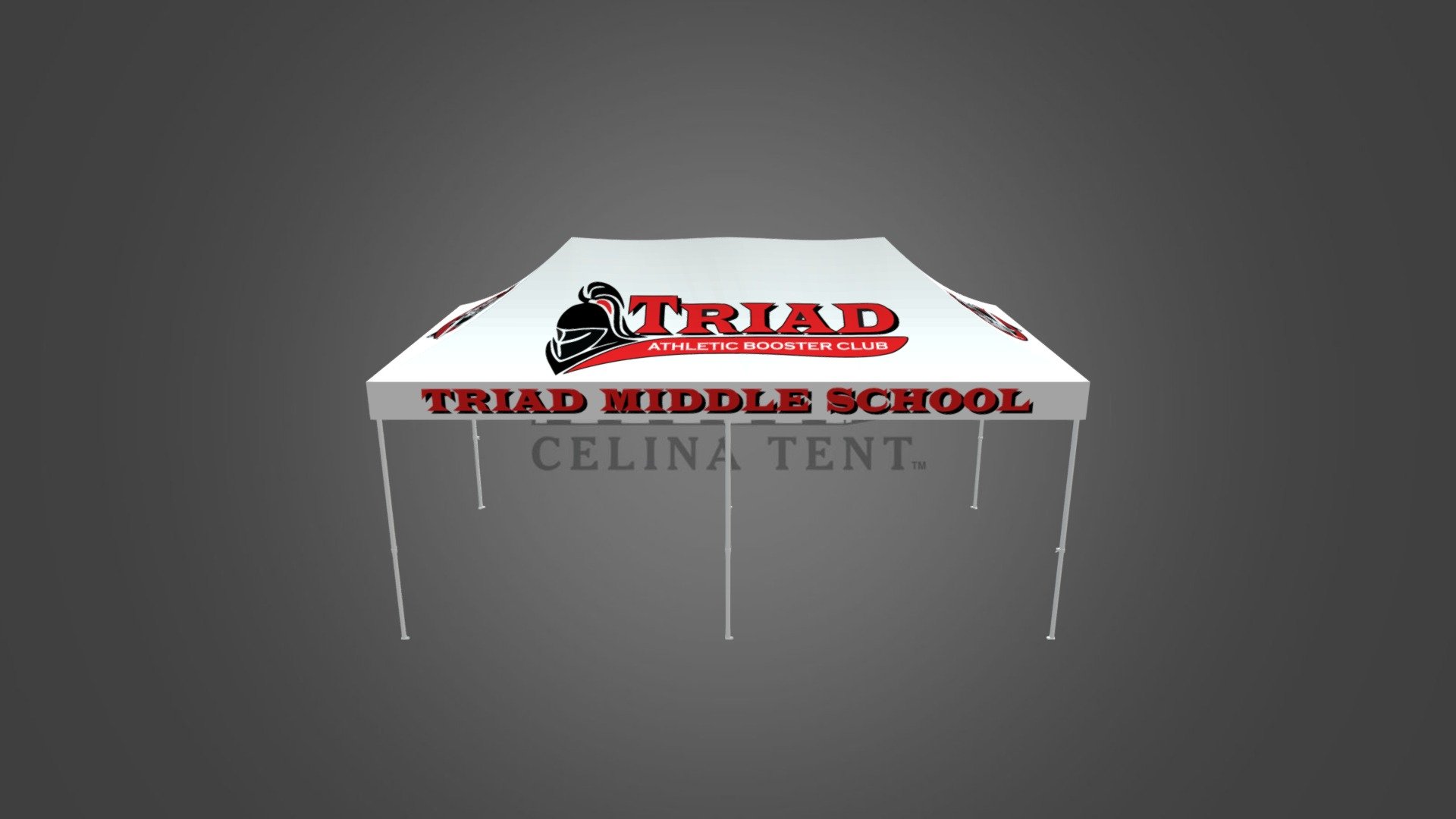 Triad High School-123245 - 3D model by Celina (@celinatent) [8a66a24 ...