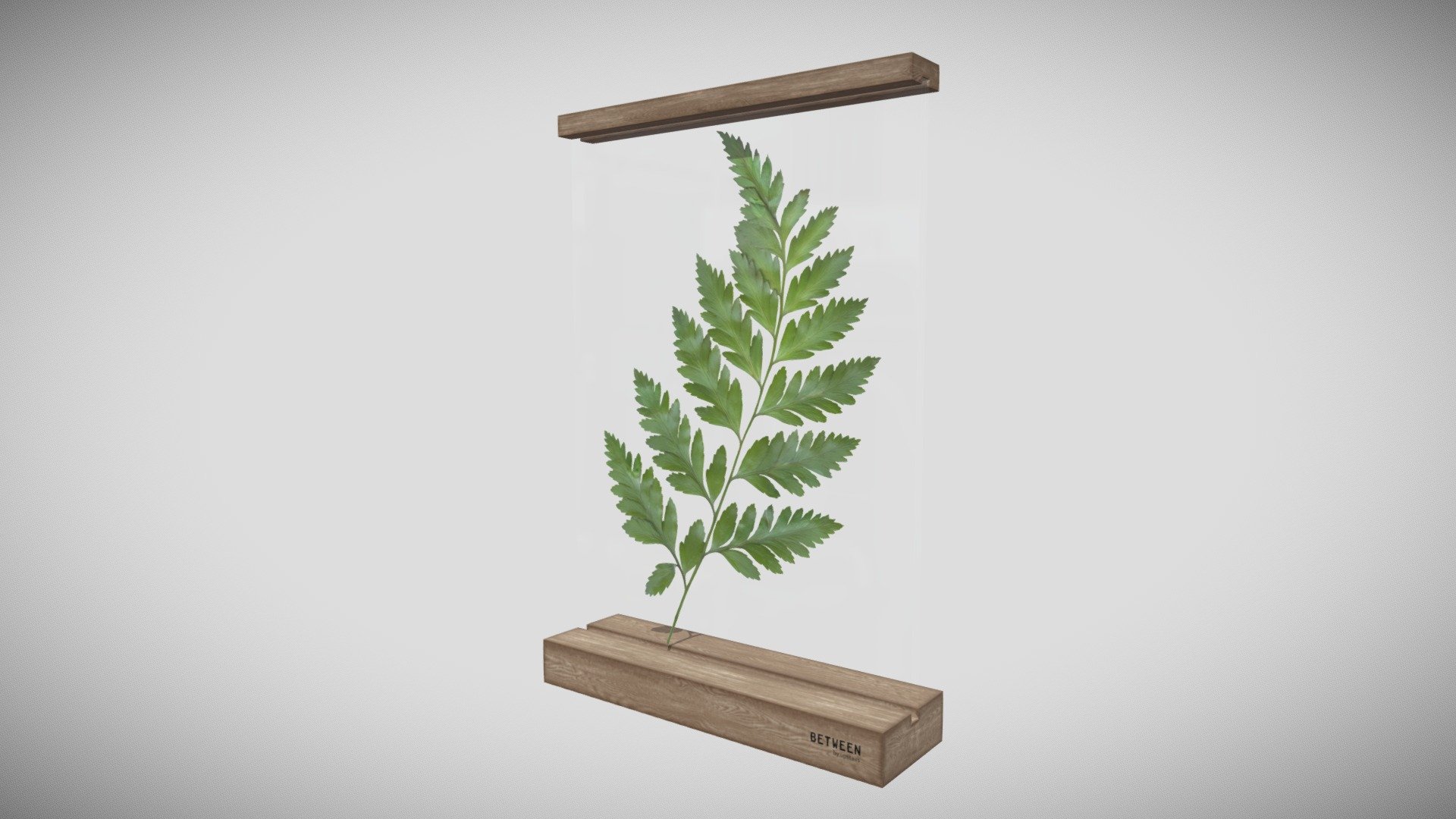 Frame A4 - Download Free 3D model by pizzzaaa [8a68880] - Sketchfab
