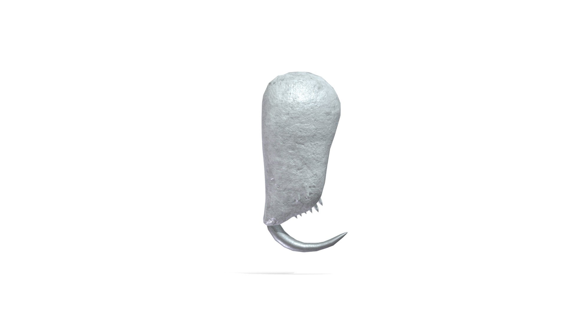 SPIDER FANG - Chelicera Amaurobiidae - Download Free 3D model by Spider ...