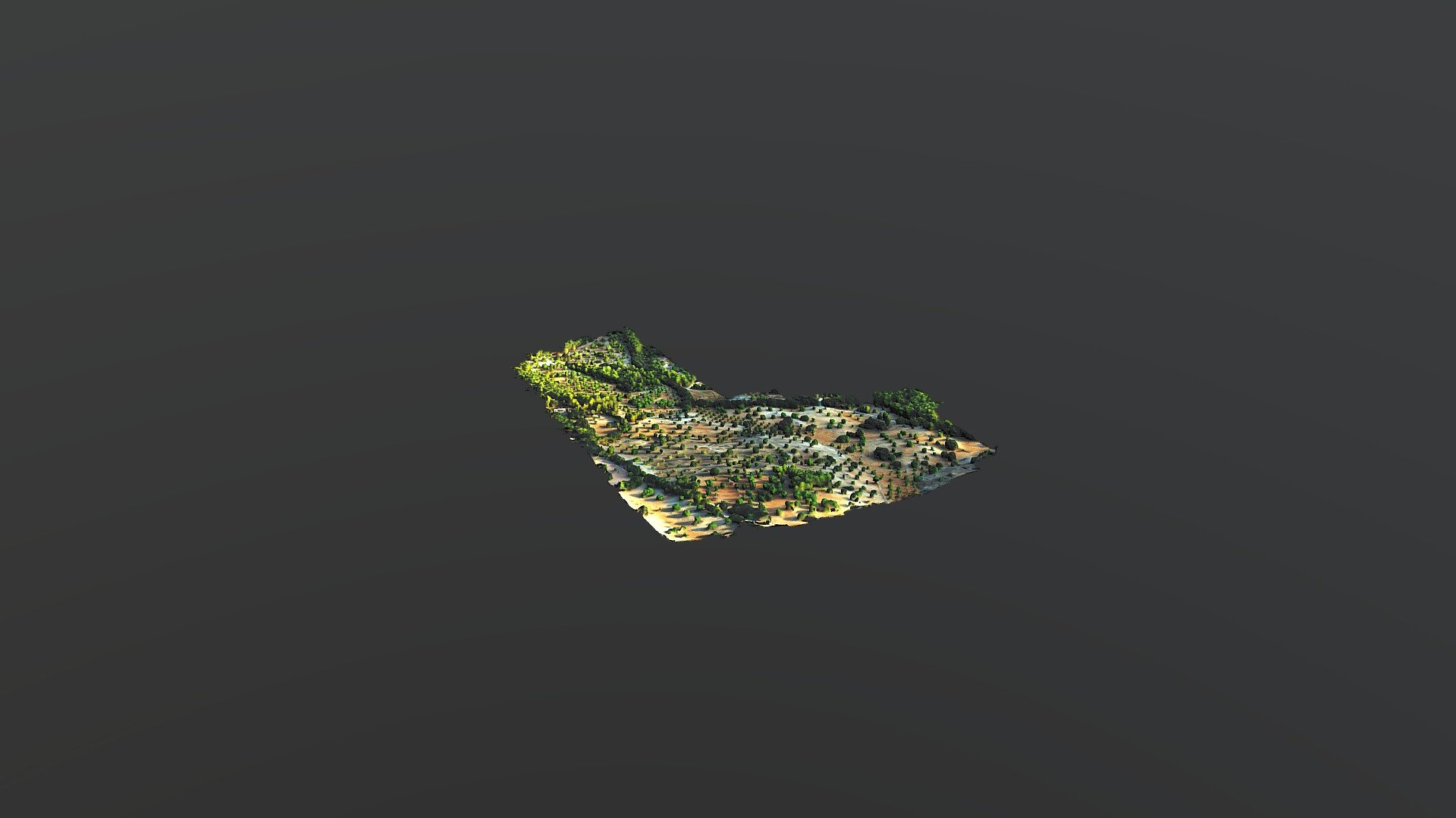 Plot with carob trees - Download Free 3D model by Fe.Lip [8a820f5 ...
