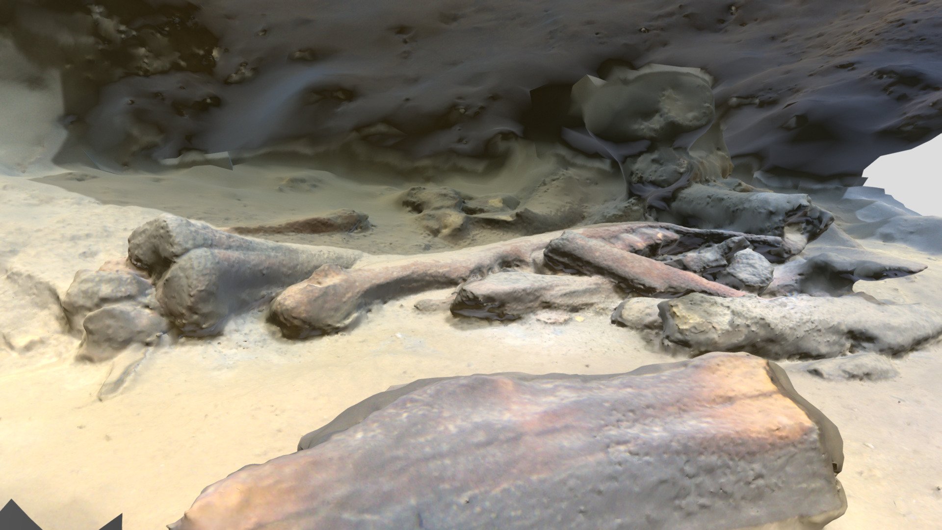Underwater Ice Age Fossils 2 - 3D model by New England Explorers ...