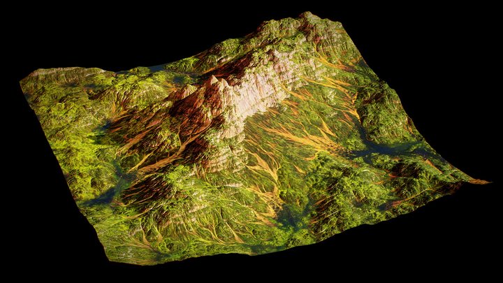 Rainforest 3D models - Sketchfab