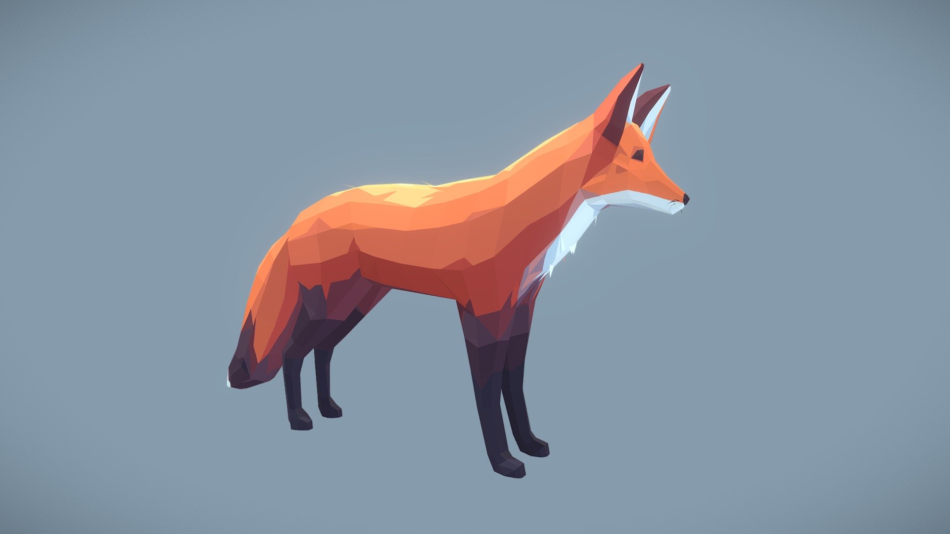 Lowpoly Fox - 3D model by KarynaTrychyk [8a8df15] - Sketchfab