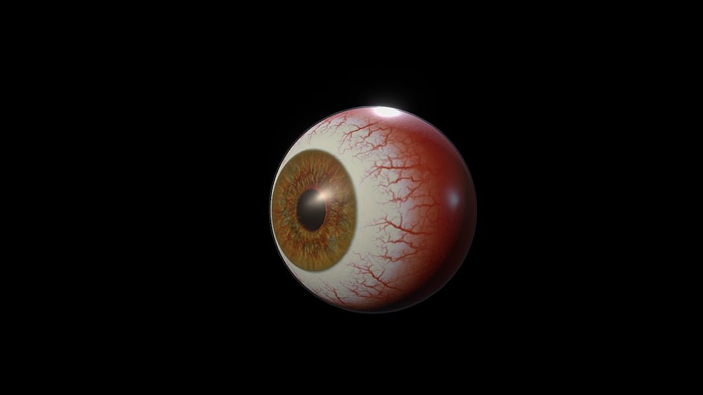 The Human Eye Anatomy - 3D model by James Ngara (@Jngara) [8a8fcfd ...