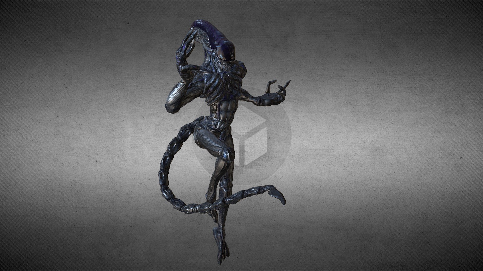 A Xenomorph - 3D model by xrabohrok [8a90856] - Sketchfab