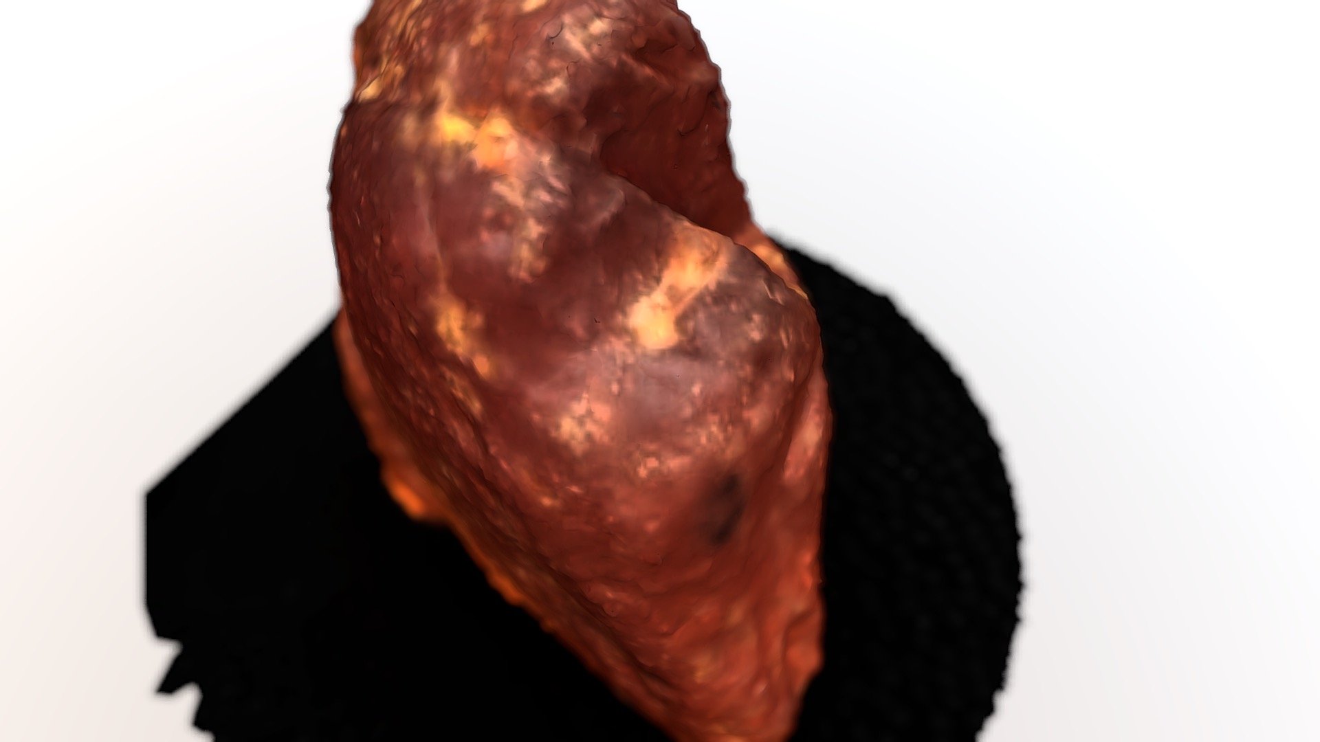 Baltic Amber - 3D model by AVZ (@micropalaeontology) [8a96944] - Sketchfab
